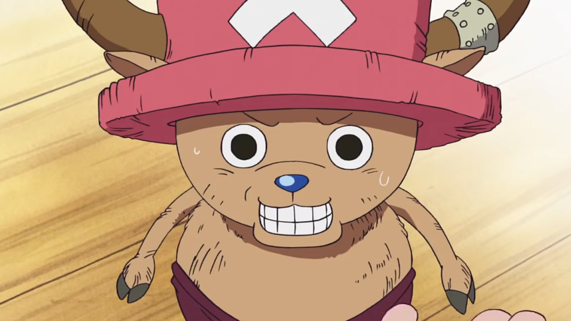 One Piece: Synchronsprecher von Luffy, Zorro und Co.