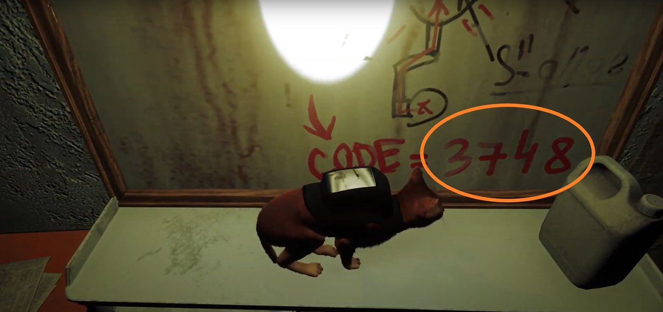 Stray: Alle Safe- & Tür-Codes – Fundorte & Belohnungen