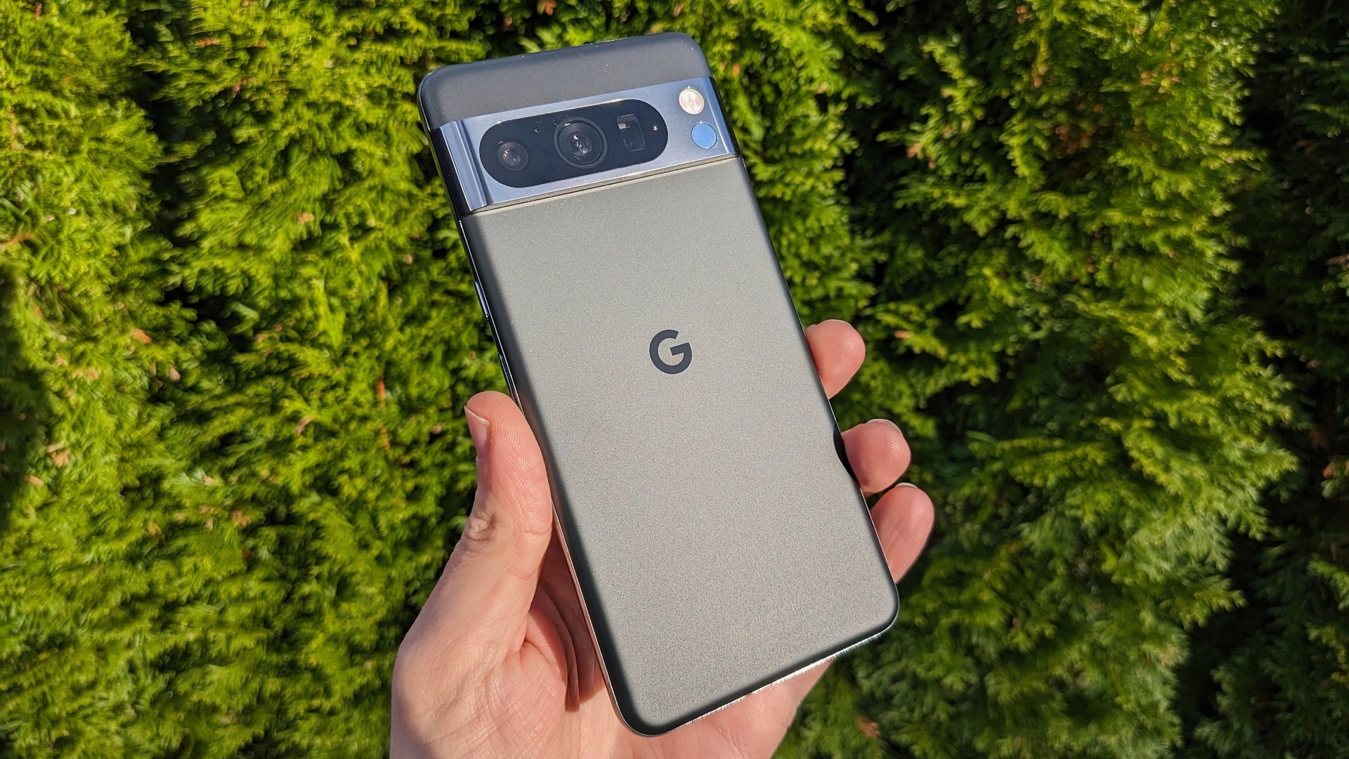 Pixel 9 Pro: Erstes Geheimnis zum nächsten Google-Handy gelüftet