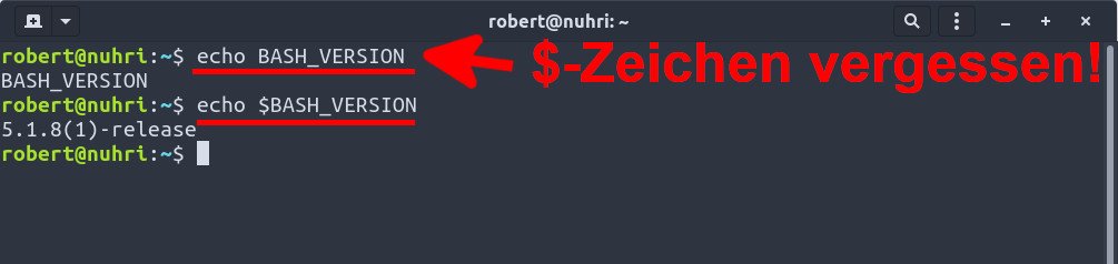 Linux: set environment variable (Umgebungsvariable setzen)