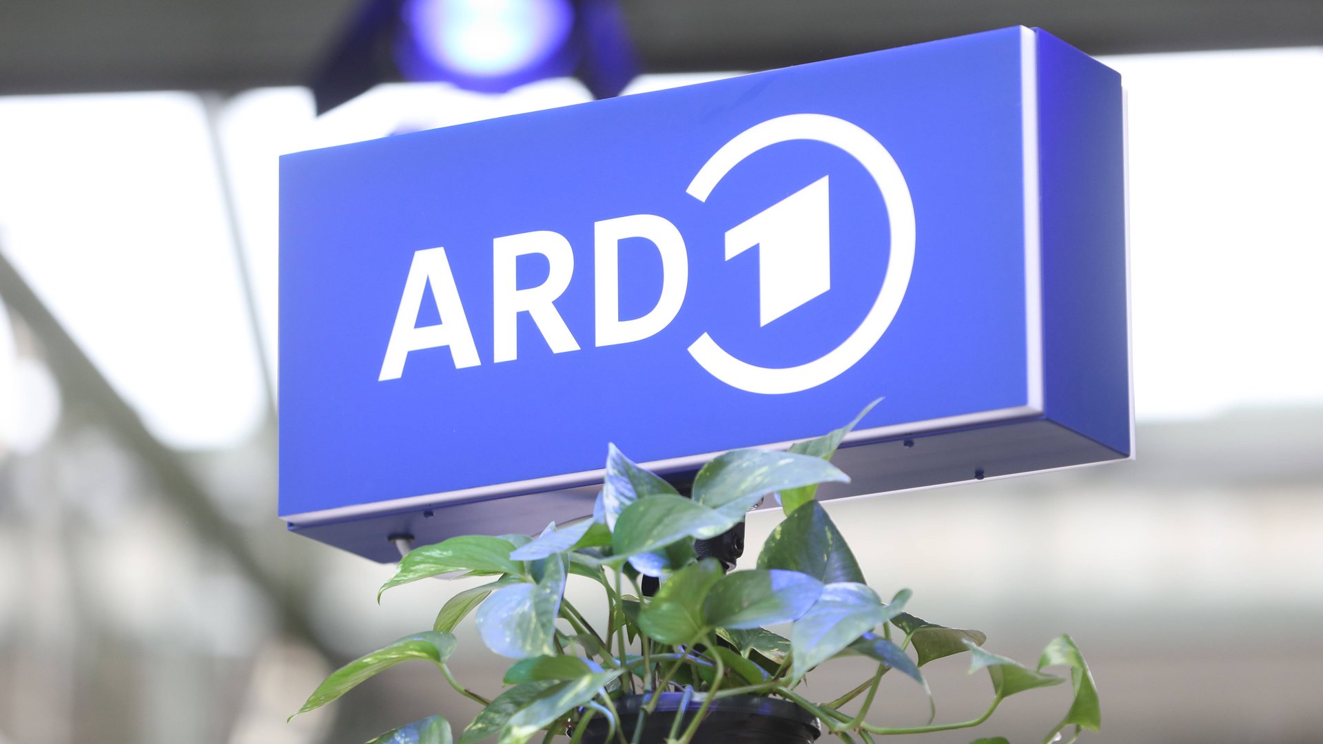 ARD - aktuelle News und Tipps
