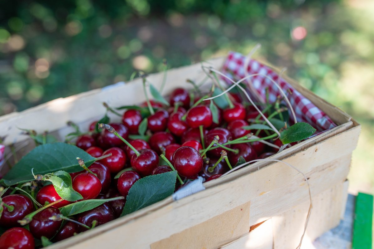 🍒Kirsche Emoji: Was bedeutet es im Chat?